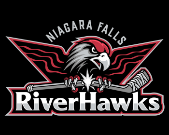 Niagara University Hockey Logos Niagara University Apparel & Spirit